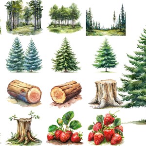 Woodland Christmas Clipart, Watercolor Winter PNG, Forest Xmas Animals ...
