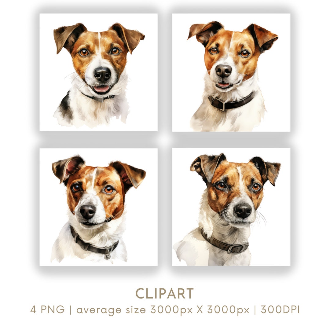 Jack Russell Watercolor Dog Clipart PNG Set 4, Pet Portrait Clipart ...