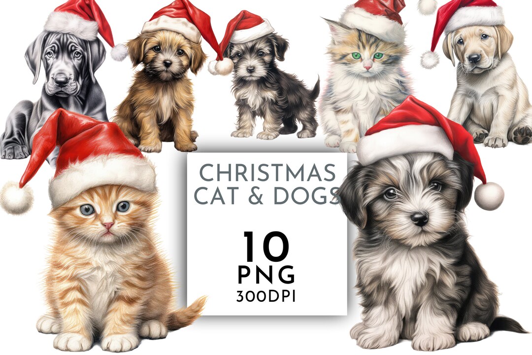 Dogs and Cats in Santa Hat Watercolor Clipart PNG, Christmas Pets ...