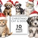 Dogs and Cats in Santa Hat Watercolor Clipart PNG, Christmas Pets ...