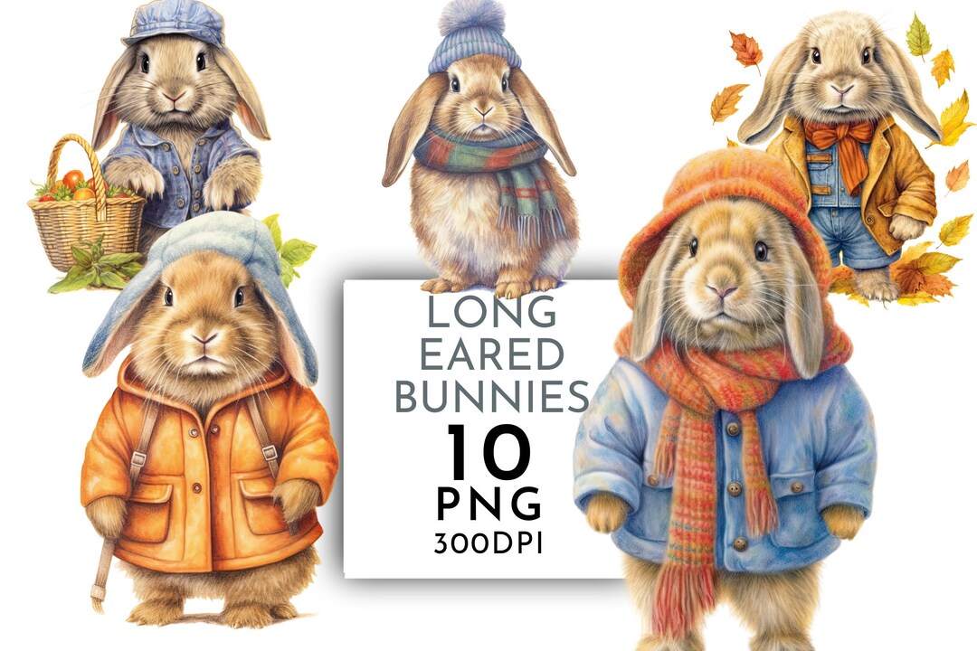 Cute Long Eared Bunnies Clipart Watercolor, Long Eared Rabbit PNG ...