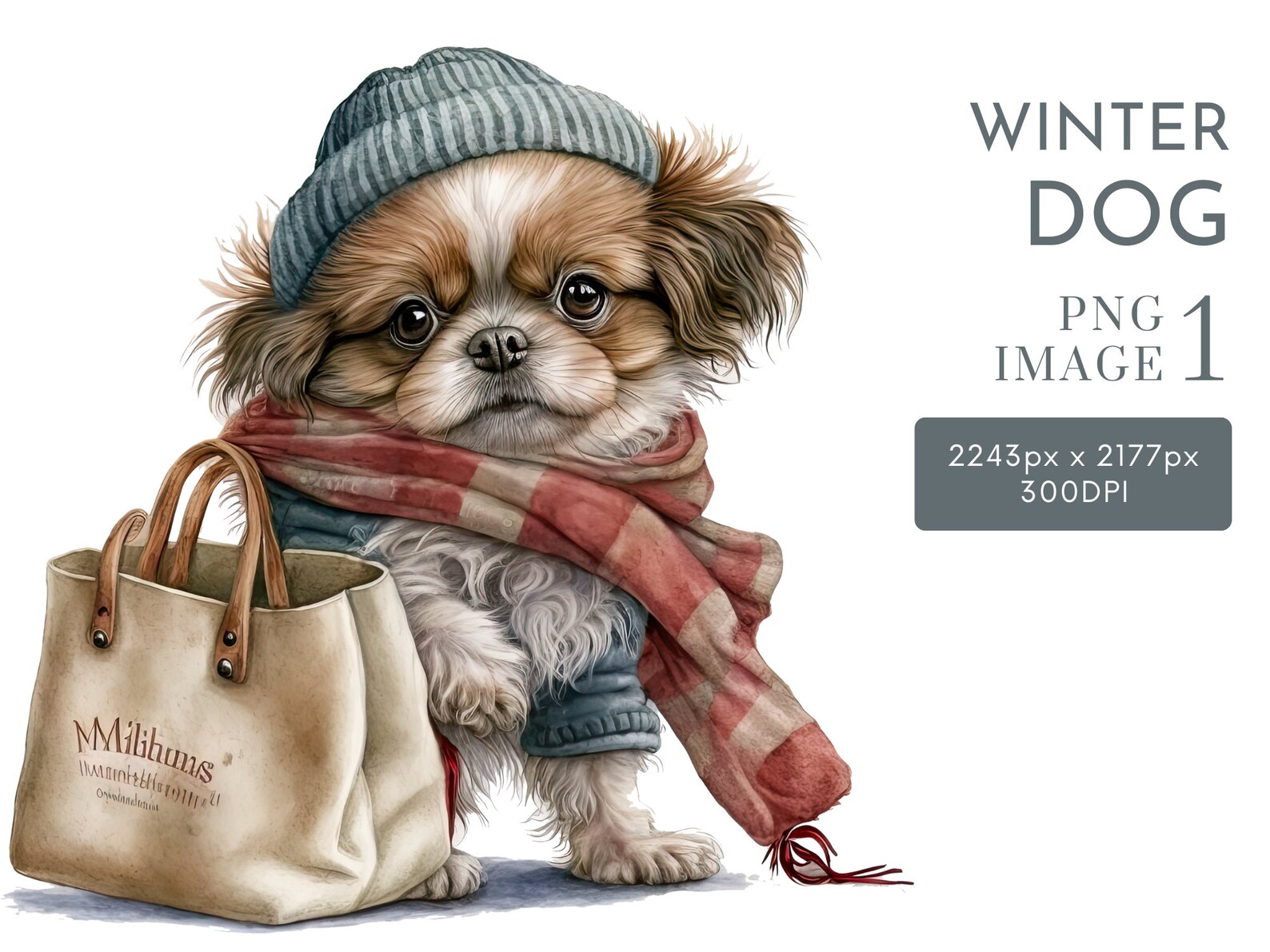 Winter Dog Watercolor Clipart PNG Cute Animals Clipart - Etsy