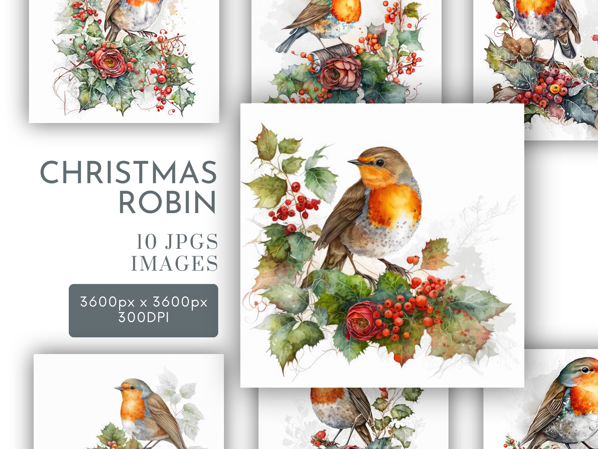 Christmas Robin Watercolor Clipart JPG Festive Junk - Etsy
