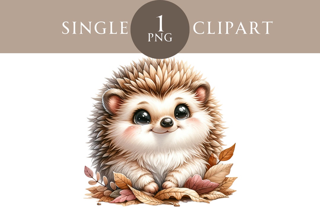 Hedgehog Clipart, Cute Woodland Animal Wall Art PNG, Baby Hedgehog ...