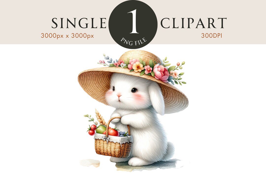 Bunny Clipart, Cute Nursery Spring PNG, Summer Illustration, Watercolor ...