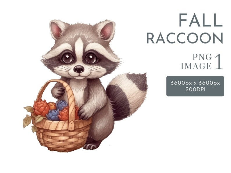 Fall Raccoon Watercolor Clipart PNG Forest Animals Clipart - Etsy
