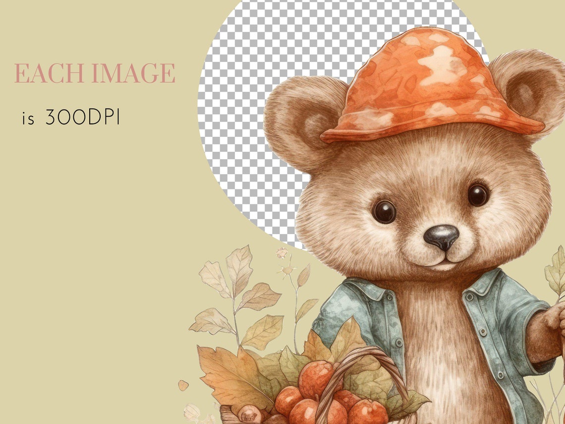 Fall Bear Watercolor Clipart PNG Forest Animals Clipart - Etsy