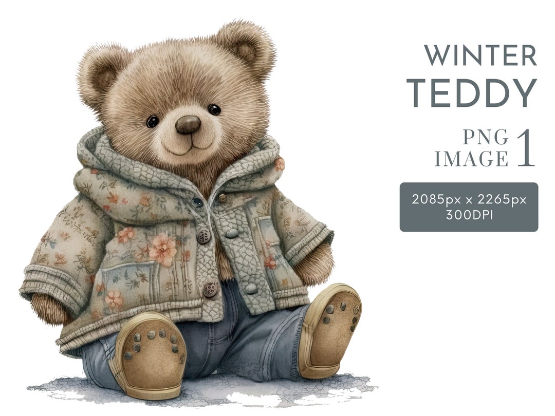 Winter Teddy Watercolor Clipart PNG, Cute Teddy Clipart, Nursery ...