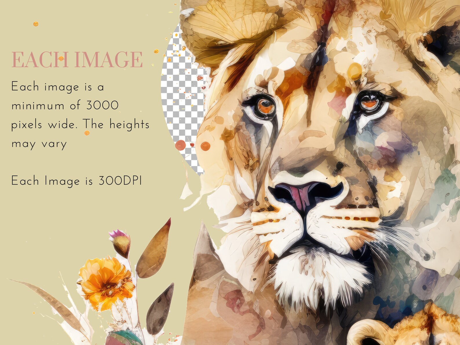 Mom and Baby Lion Watercolor Clipart PNG Jungle Animals - Etsy