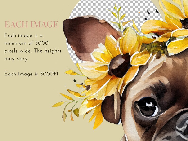 Sunflower Pug Watercolor Clipart PNG Cute Pets Animals - Etsy
