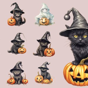 Cute Black Cat and Pumpkins Clipart Watercolor, Halloween PNG ...