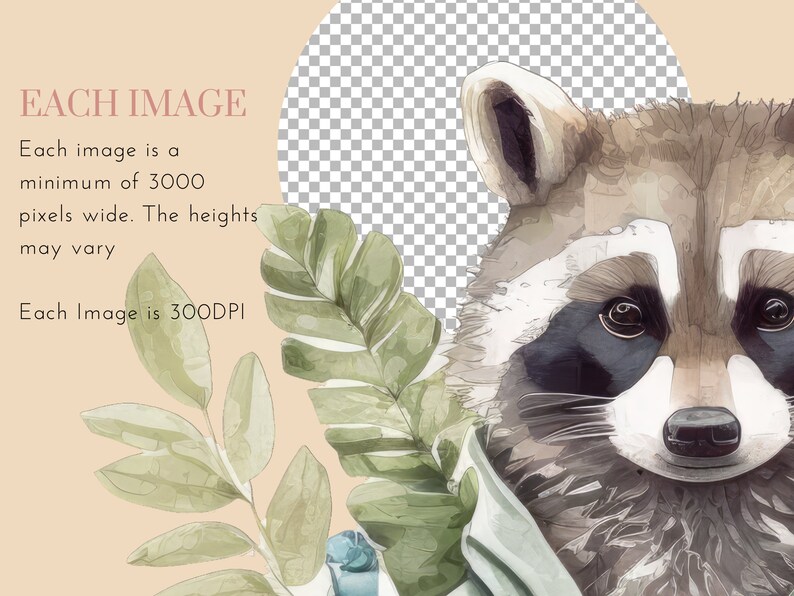 Raccoon Summer Watercolor Clipart PNG Forest Animals Clipart - Etsy