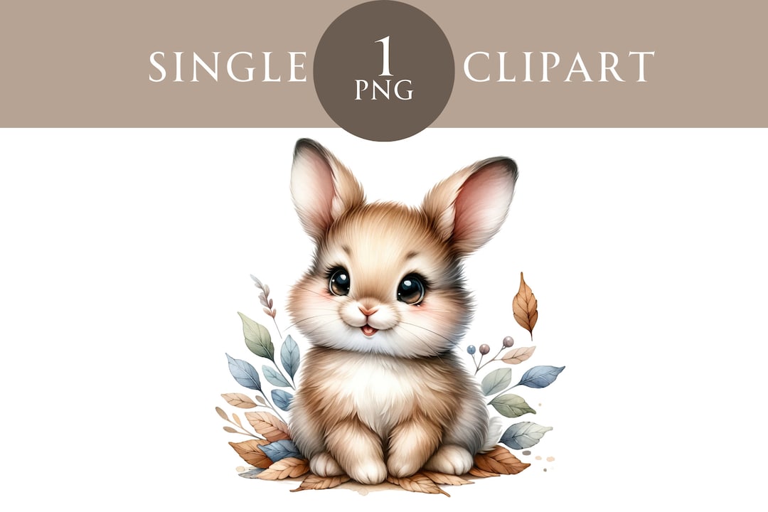 Rabbit Clipart, Cute Woodland Animal Wall Art PNG, Baby Bunny Graphics ...