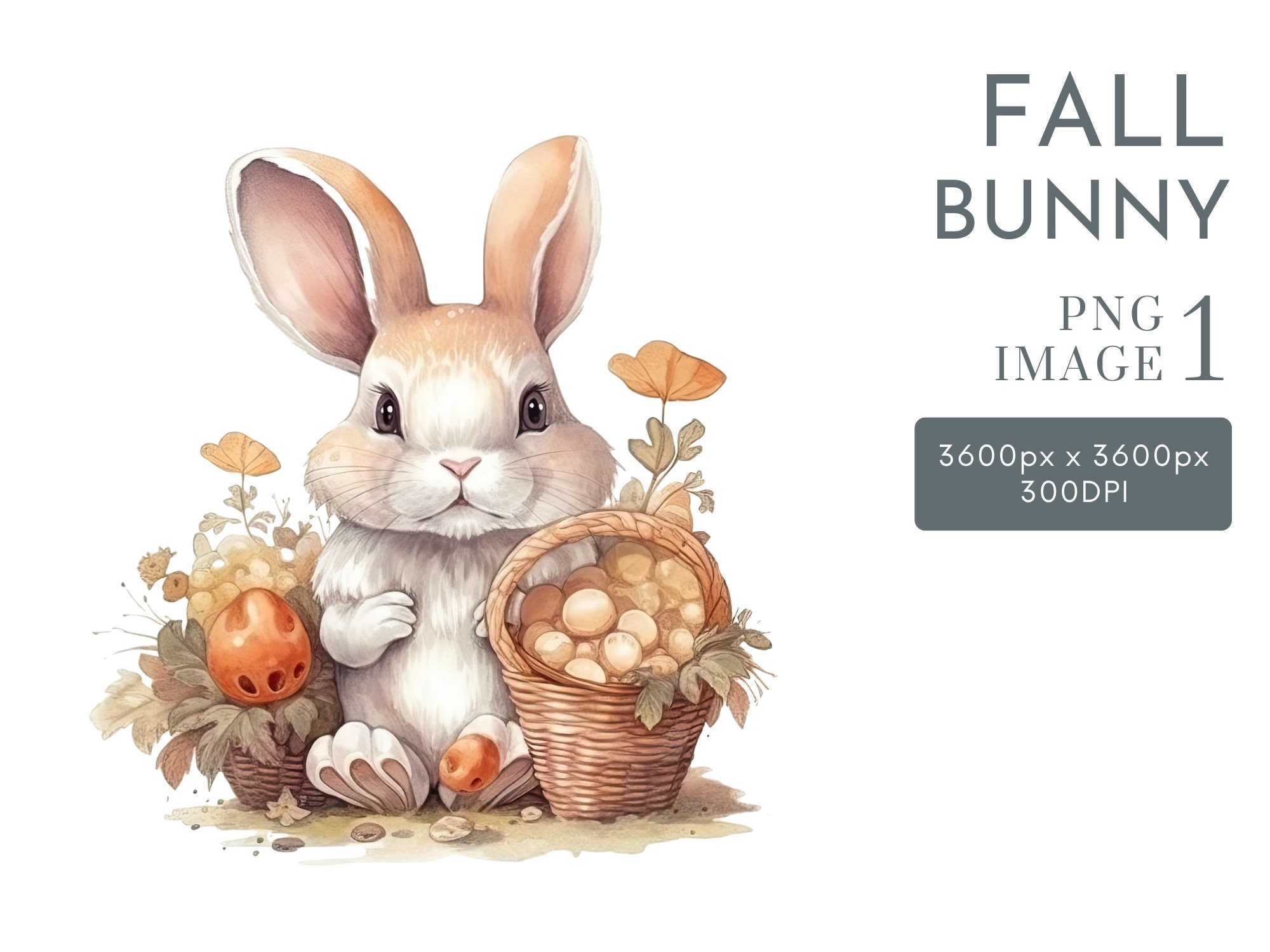 Fall Bunny Watercolor Clipart PNG Forest Animals Clipart - Etsy