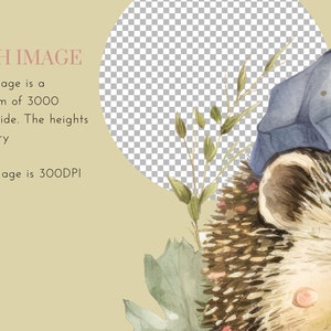 Spring Hedgehog Watercolor Clipart PNG, Forest Animals Clipart, Nursery ...