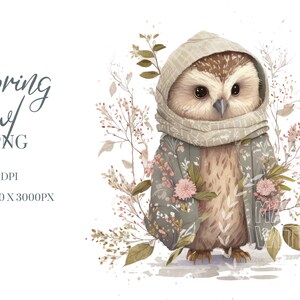 Spring Owl Watercolor Clipart PNG, Cute Forest Animals Clipart, Nursery ...