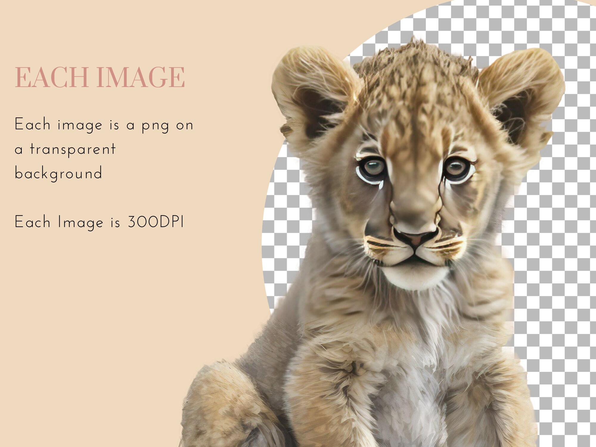 Lion Cub Watercolor Clipart Cute Clip Art for Commercial Use - Etsy