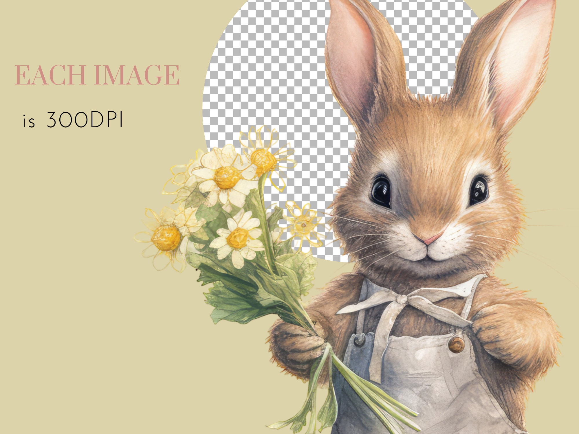 Cute Rabbit Clipart PNG Files Watercolor Commercial Use - Etsy