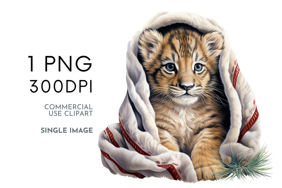 Cosy Tiger Watercolor Clipart PNG, Cute Forest Animals Clipart ...