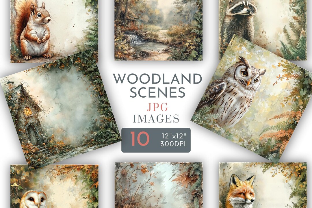Woodland Animals Backgrounds Digital, Deer Owl Squirrel Square Papers ...