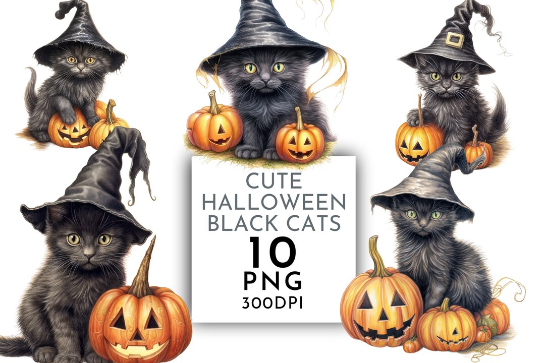 Cute Black Cat and Pumpkins Clipart Watercolor, Halloween PNG ...