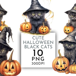 Cute Black Cat and Pumpkins Clipart Watercolor, Halloween PNG ...