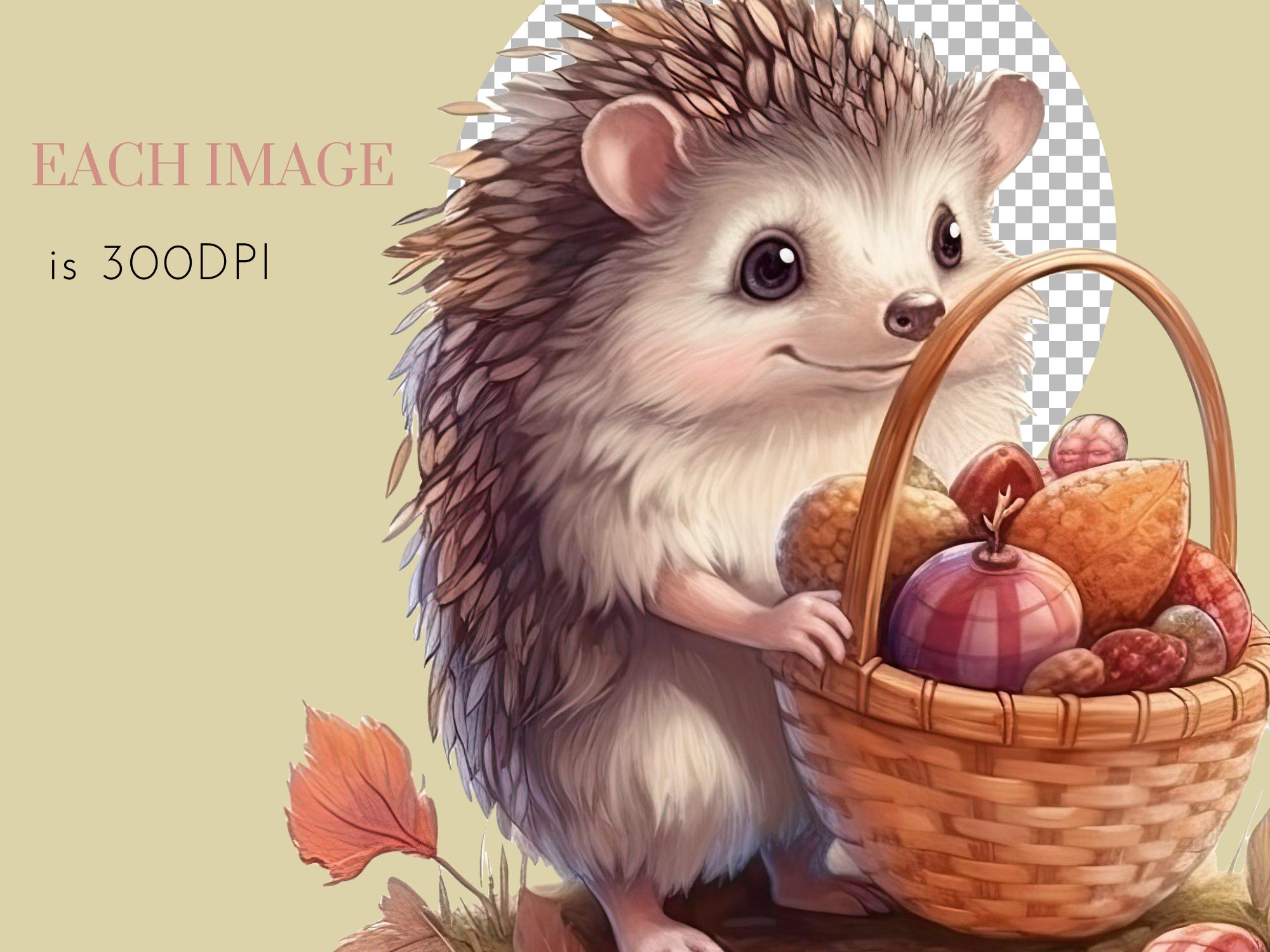 Fall Hedgehog Watercolor Clipart PNG Forest Animals Clipart - Etsy