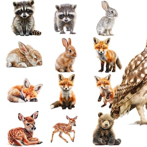 Woodland Christmas Clipart, Watercolor Winter PNG, Forest Xmas Animals ...