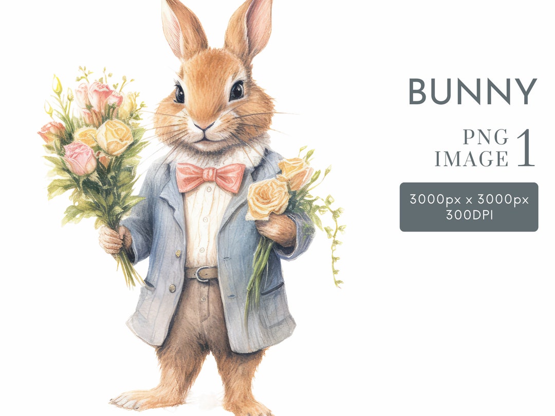 Cute Rabbit Clipart PNG Files, Watercolor Commercial Use Clipart, Junk ...