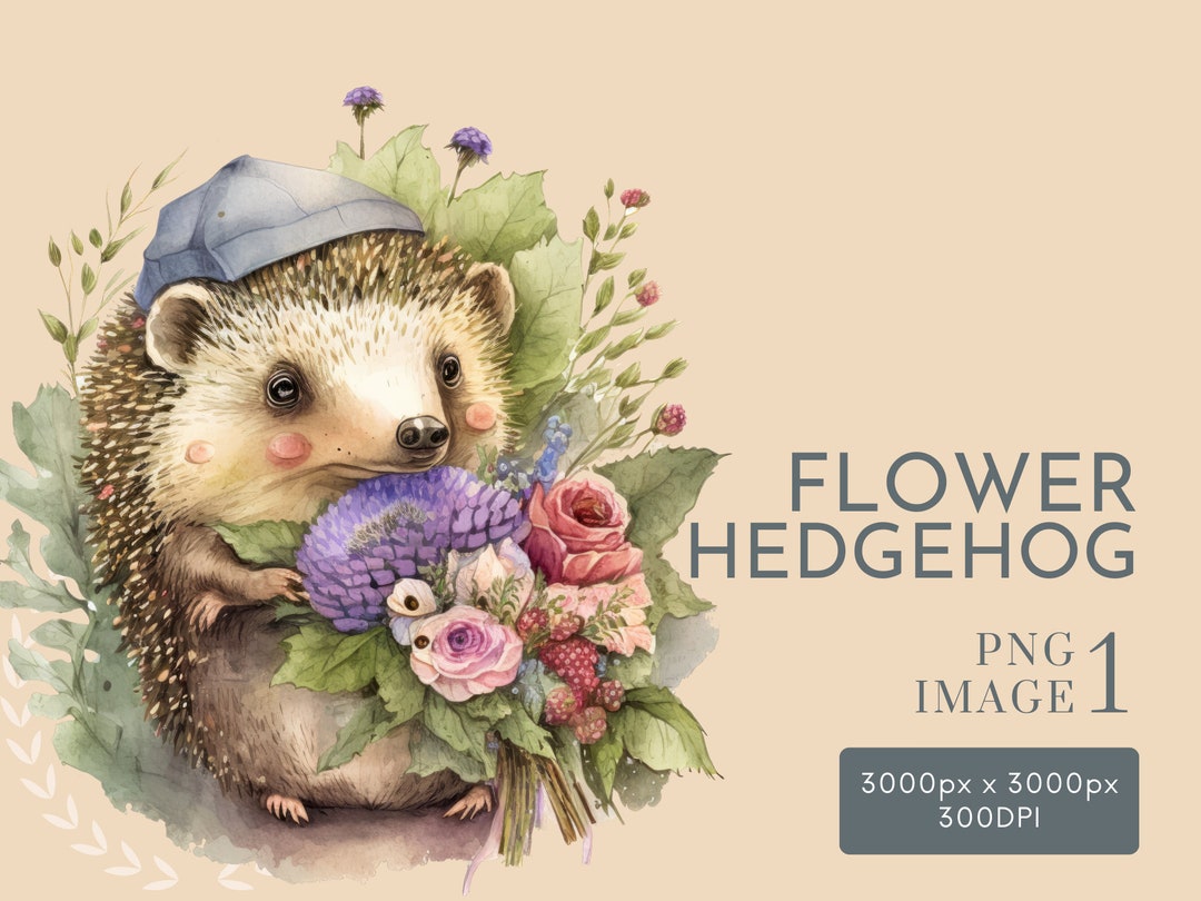 Spring Hedgehog Watercolor Clipart PNG, Forest Animals Clipart, Nursery ...