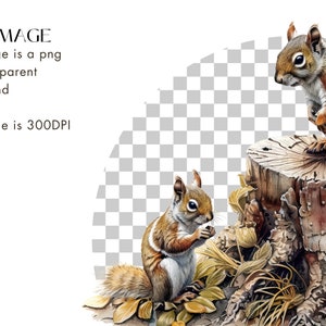Woodland Christmas Clipart, Watercolor Winter PNG, Forest Xmas Animals ...