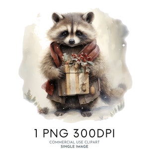 Winter Cute Raccoon Watercolor Clipart PNG, Forest Animals Clipart ...