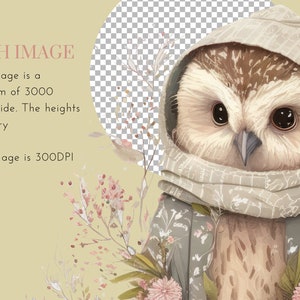 Spring Owl Watercolor Clipart PNG, Cute Forest Animals Clipart, Nursery ...