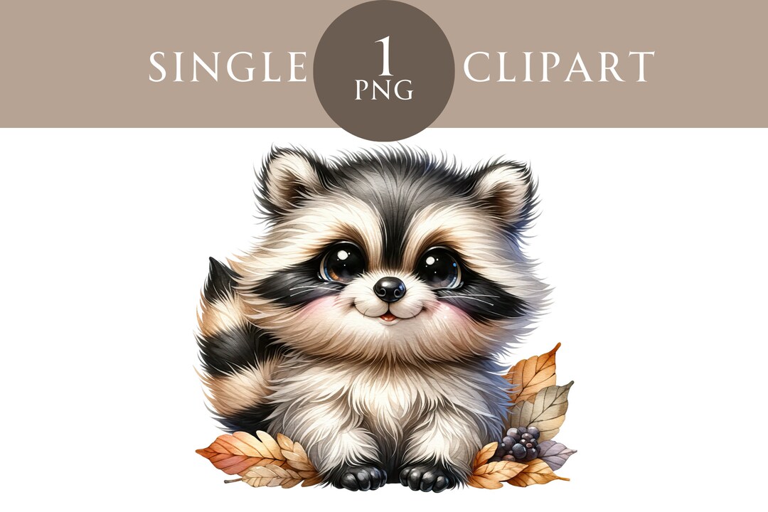 Raccoon Clipart, Cute Woodland Animal Wall Art PNG, Baby Raccoon ...