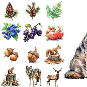 Woodland Christmas Clipart, Watercolor Winter PNG, Forest Xmas Animals ...