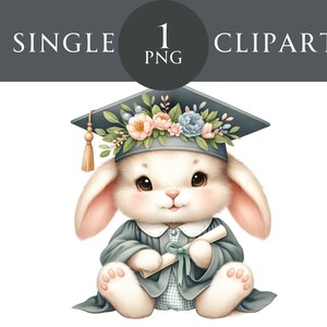 Graduation Rabbit Clipart, Kindergarten School College Animal Wall Art ...