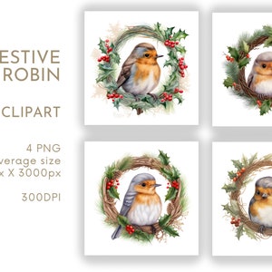 Christmas Robin Watercolor Clipart PNG Set 4 , Festive Xmas Clipart for ...