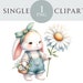 Spring Rabbit Clipart, Easter Bunny PNG Illustration, Mothers Day ...