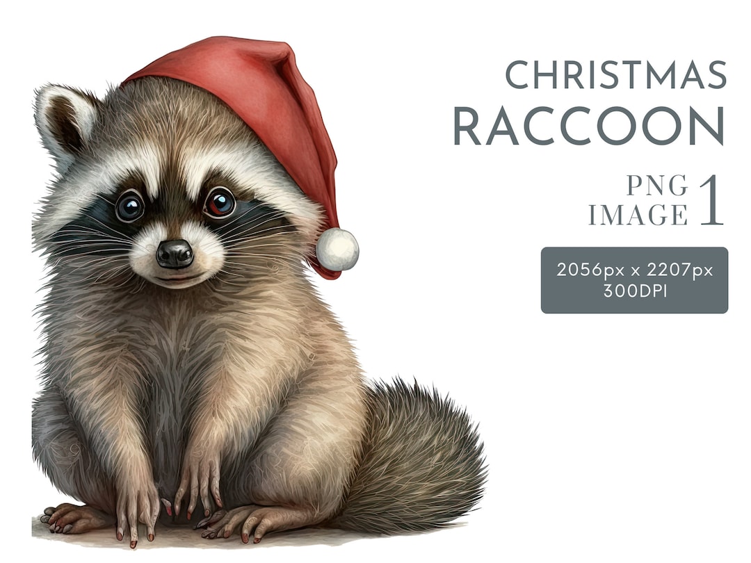Christmas Raccoon Watercolor Clipart: Nursery Forest Animal PNG - Etsy