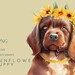 Sunflower Puppy Watercolor Clipart PNG, Cute Pets Animals Clipart ...