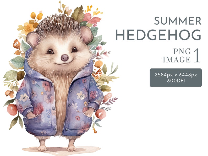 Hedgehog With Flowers Clipart PNG Nursery Clipart Summer - Etsy