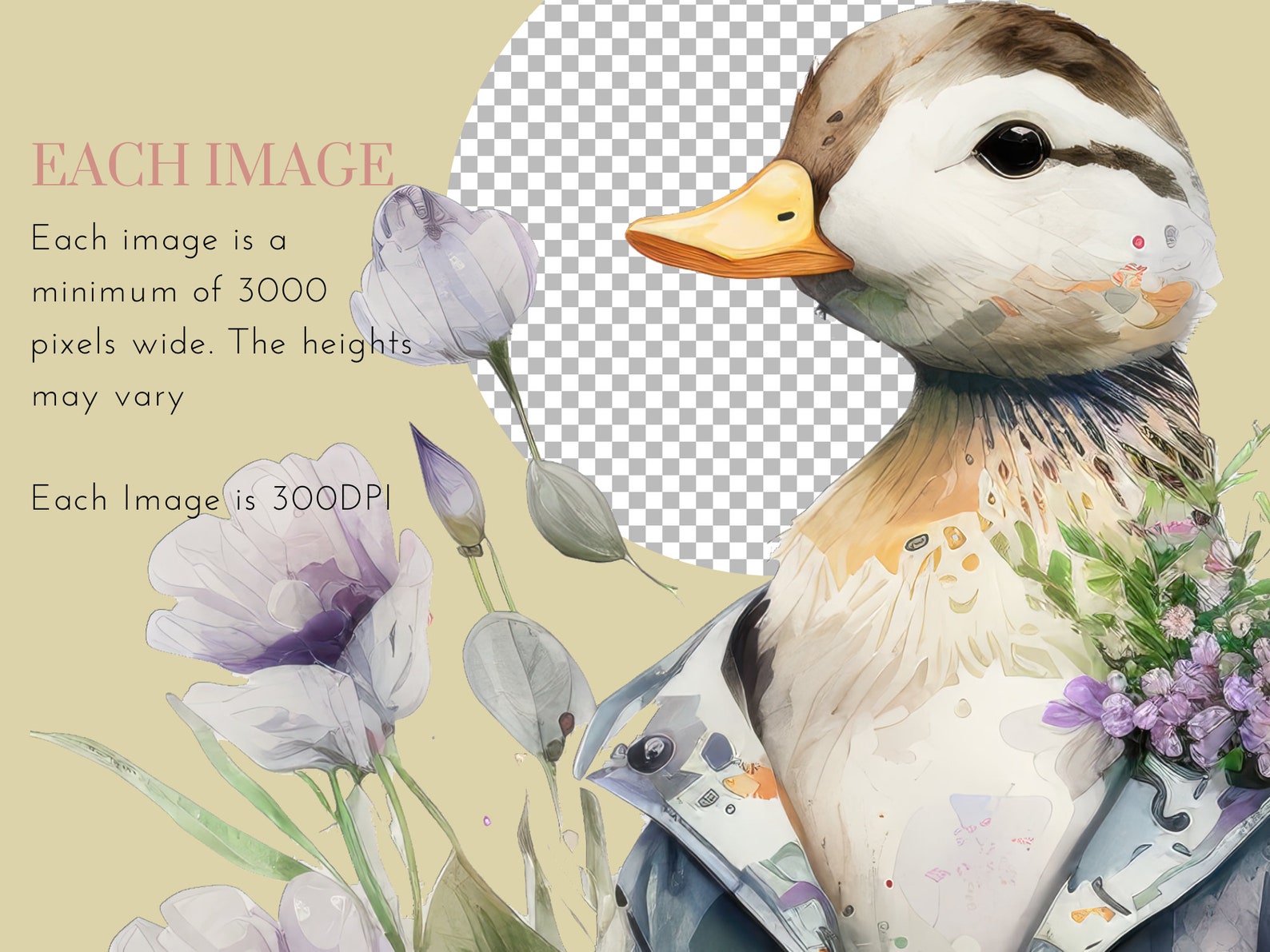 Spring Duck Watercolor Clipart PNG Forest Animals Clipart - Etsy