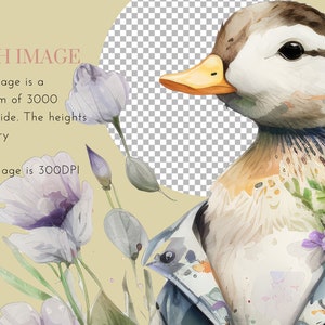 Spring Duck Watercolor Clipart PNG, Forest Animals Clipart, Nursery ...