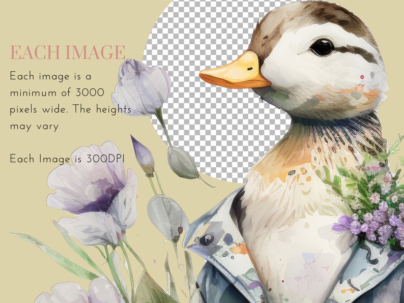 Spring Duck Watercolor Clipart PNG Forest Animals Clipart - Etsy