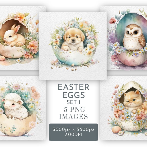 Easter Owl Clipart - Etsy