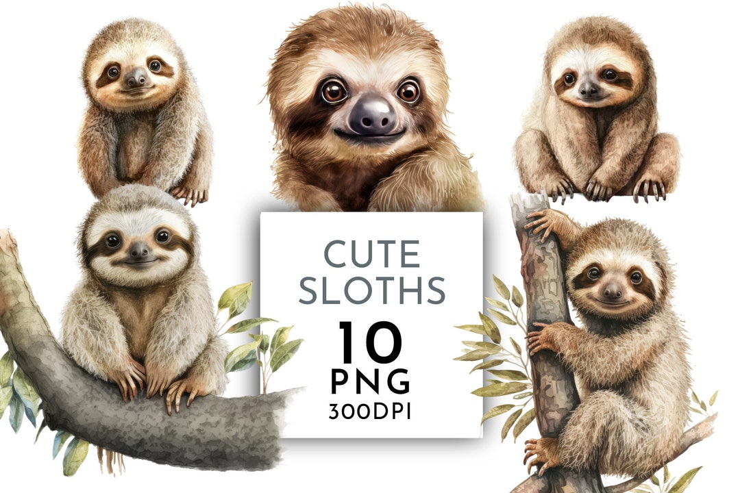 Cute Sloth Clipart PNG, Sloth on Branch, Sloth Watercolor, Junk ...