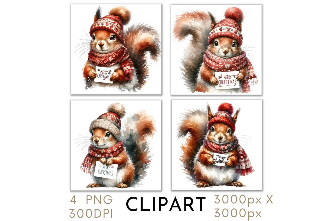 Christmas Squirrel Clipart Illustration Watercolor Clipart PNG Set 4 ...