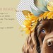 Sunflower Puppy Watercolor Clipart PNG, Pets Animals Clipart, Nursery ...
