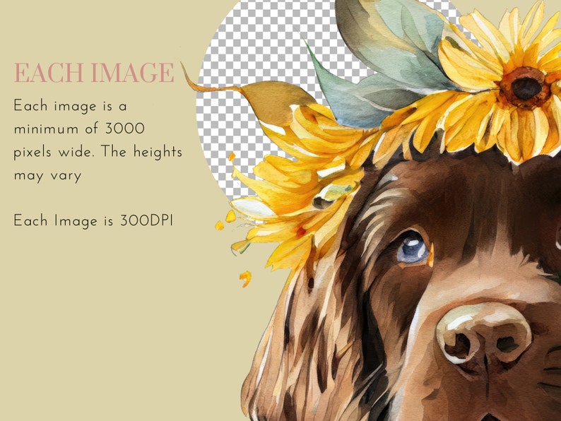 Sunflower Puppy Watercolor Clipart PNG Pets Animals Clipart - Etsy