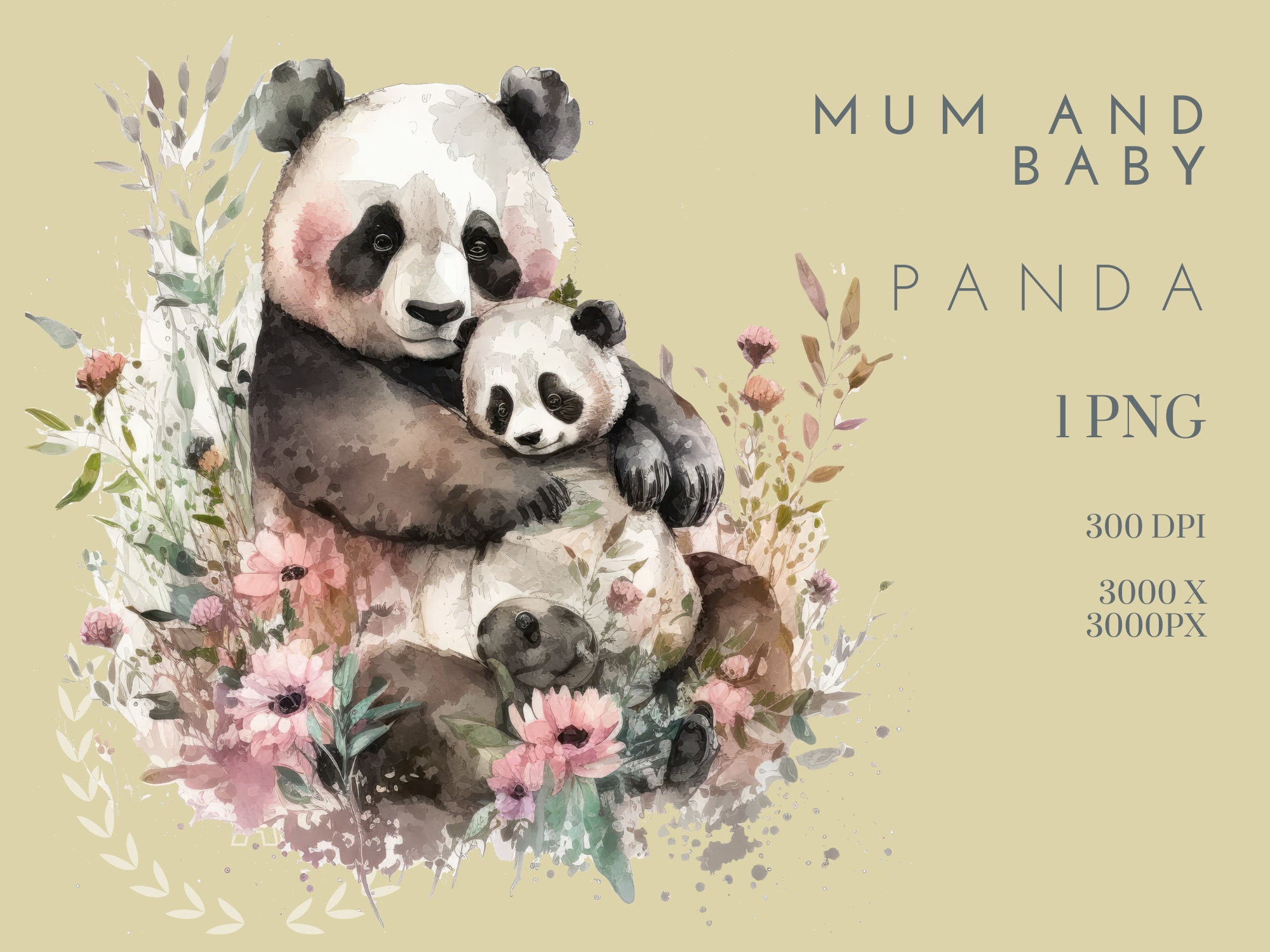 Mom and Baby Panda Watercolor Clipart PNG Jungle Animals - Etsy
